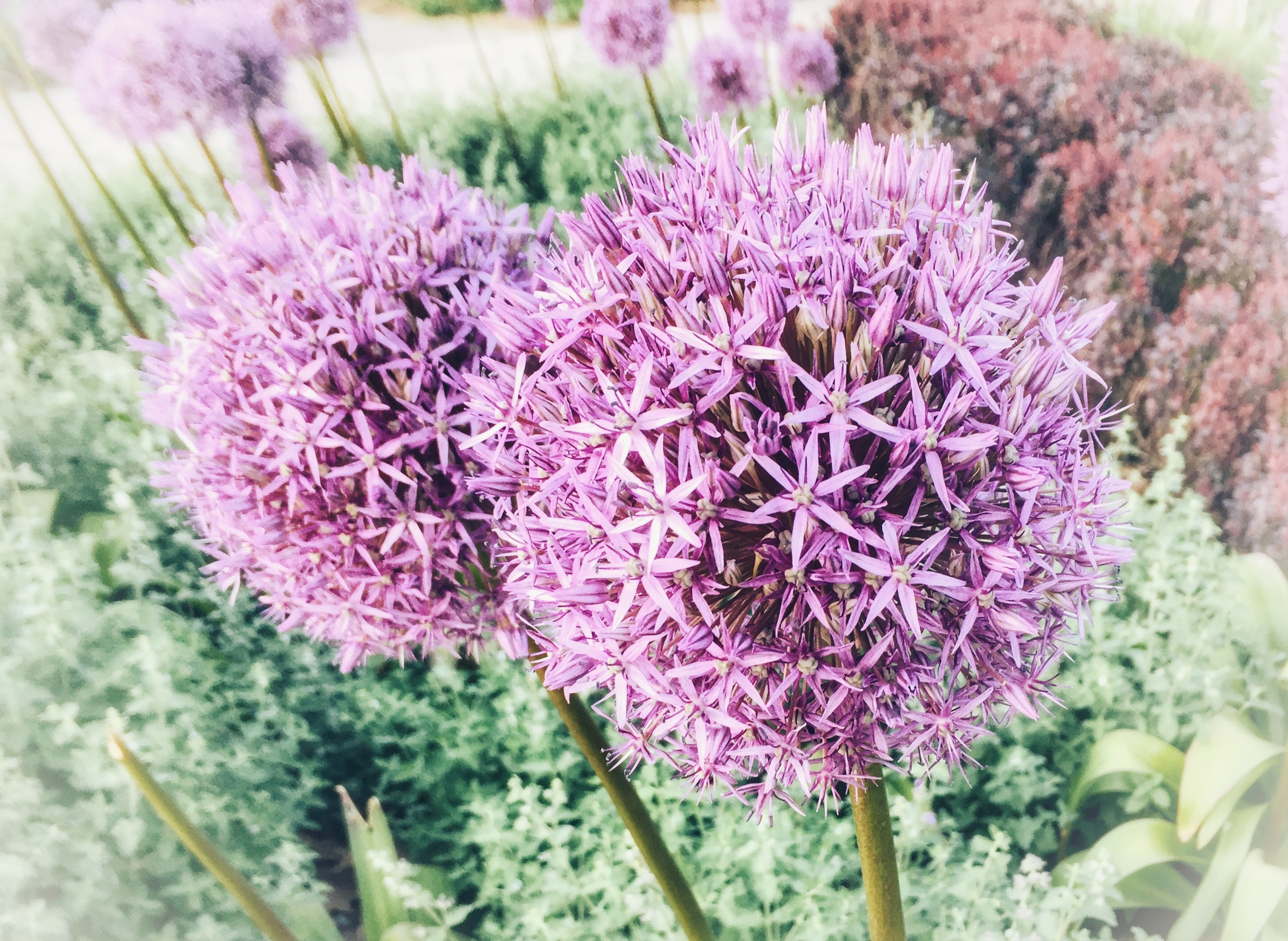 Ways to Slay the Giants in Your Life – Cup of Faith & Grains